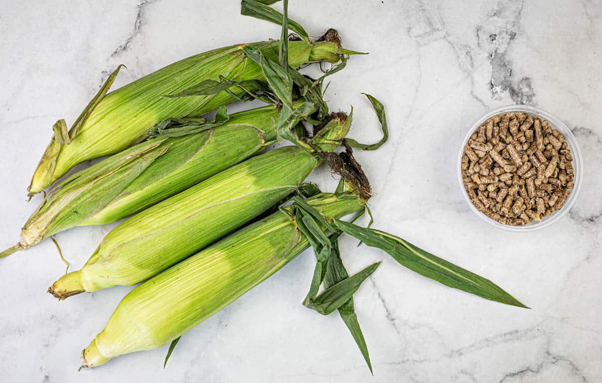 Ninja Woodfire Outdoor Grill Smoked Corn On the Cob - Grill What You Love